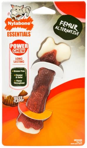 Nylabone® Power Chew Femur Alternative 1 Ct King Soopers