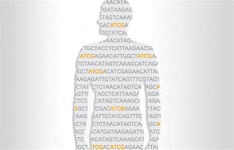 Whole Genome Genotyping Genome Wide Genotyping Solutions