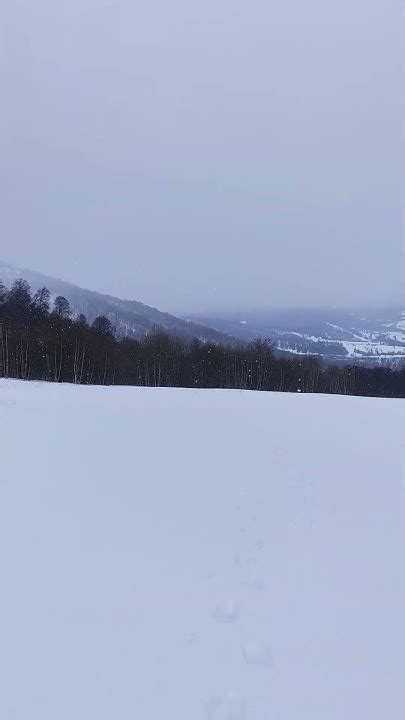 თრიალეთის ქედი სამგლეველი Youtube