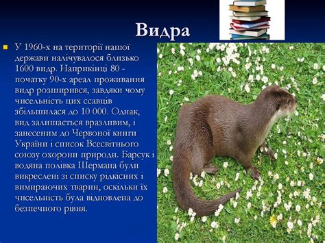 Тварини занесені до червоної книги України презентация онлайн