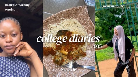 College Diaries 005 ⁂ Realistic Life Of An Introvert Assignment