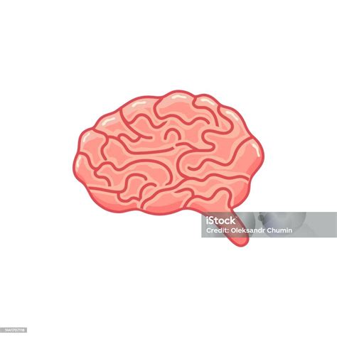 brain icon for graphic design projects vector stock illustration