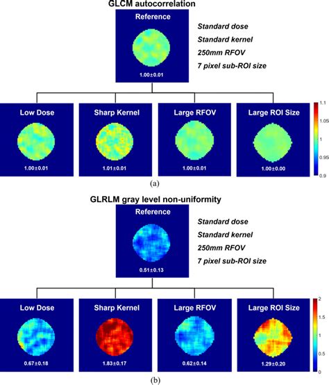 Example Color Map Of A The Glcm Autocorrelation And B The Glrlm Gray Download Scientific
