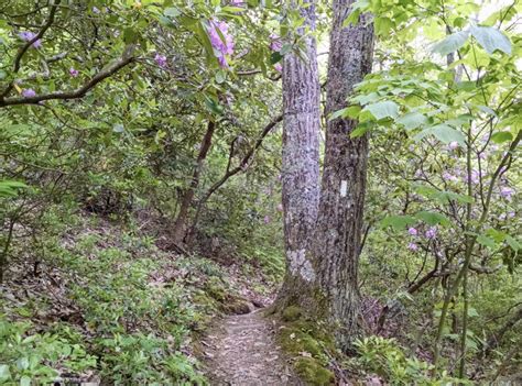 Let S Talk About Sex Intimate Advice For Camping Couples All Women All Trails