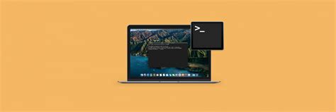 Macos Terminal ნაწილი Iii ფაილების კოპირება და გადატანა F1 აიტი აკადემია
