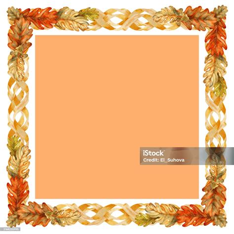 두루마리 종이와 가을 떡갈나무 잎으로 꼬인 프레임 수채화 그림 템플릿 손으로 그린 벽지 추수 축제 인증서 수상 라벨 메뉴 초대장을 위한 자연스러운 단풍 질감 0명에 대한