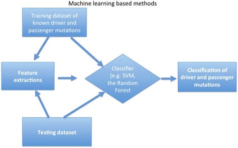 General Schema Of Machine Learning Based Approaches To Identifying