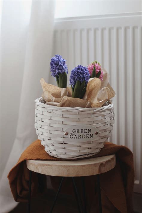 가지 거베라 거실 장식 고요한 공장 전시 꽃 꽃꽂이 나무 그릇 나뭇결 노란 꽃 독창성 독특한 꽃병 디자인