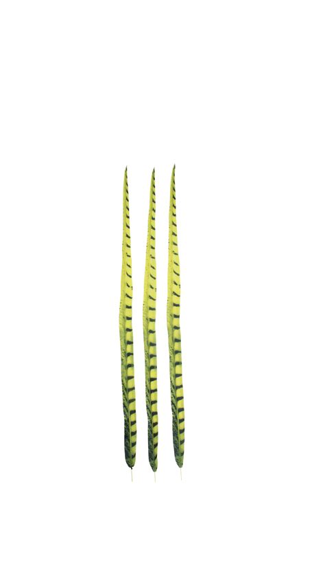 Artificial Feathers Schuman Feathers