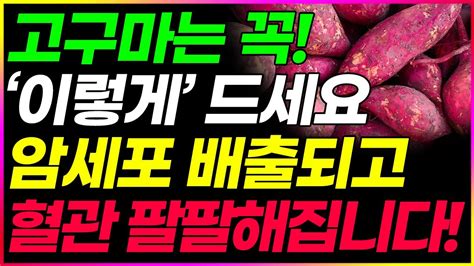 혈관부터 젊어지고 깨끗해집니다 고구마를 이것과 같이 먹으면 암세포와 혈관 속 기름 덩어리 싹 빼줍니다 고구마 효능 무조건 이렇게