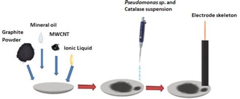 Development An Amperometric Microbial‐enzyme Hybrid Cholesterol Biosensor Based On Ionic Liquid