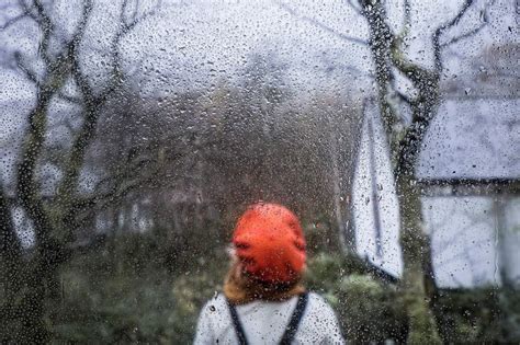 Влияние дождя на природный фон Бесплатное фото