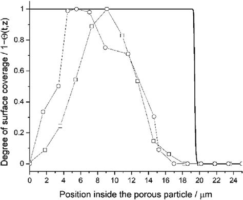 Degree Of Surface Coverage As A Function Of Position Inside The Porous Download Scientific