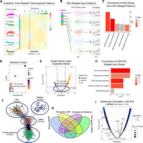 Frontiers Setd2 Regulates Gene Transcription Patterns And Is