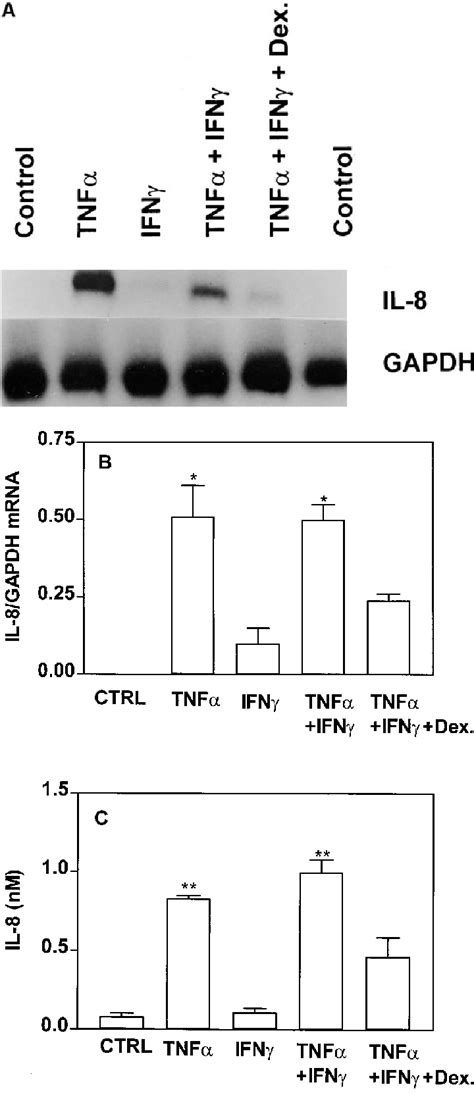 Effect Of Ifn 10 Ng Ml Tnf 10 Ng Ml Tnfplus Ifn 10 Ng Ml Each Download Scientific