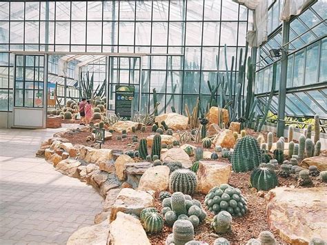 รีวิว สวนพฤกษศาสตร์สมเด็จพระนางเจ้าสิริกิติ์ ศึกษาต้นไม้นานาพันธ์