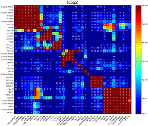Spatial Binding Constraints Detected From Encode Chip Seq Download Scientific Diagram