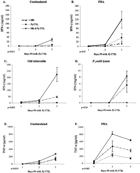 Enhanced Ifn ␥ And Tnf ␣ Production In Splenocytes From Mice