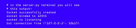 Socket Programming In Python Bim