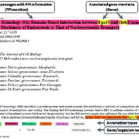 Annotation Interface For The Bioc Biogrid Corpus 5 Overlapping