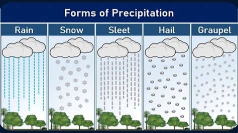 Precipitation Sciencesciencesciencesciencescience3pptx