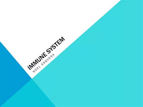 PPT Immune System PowerPoint Presentation Free Download ID 1899396