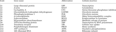 Selected Housekeeping Genes For Gene Expression Analysis Download Table