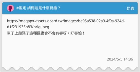 鑑定 請問這是什麼昆蟲？ 昆蟲板 Dcard
