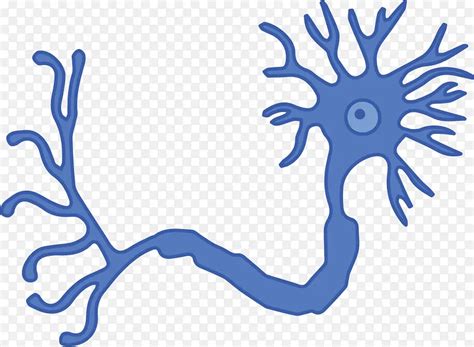 矢量图生物细胞结构png图片素材下载 图片编号7867306 Png素材网