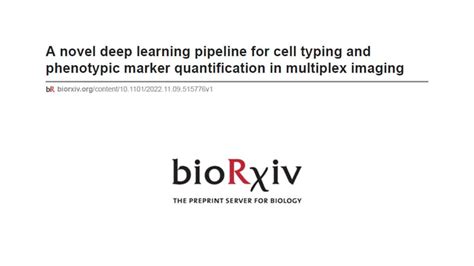 A Novel Deep Learning Pipeline For Cell Typing And Phenotypic Marker