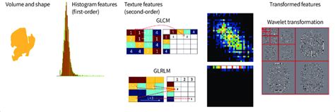 Common Radiomic Features Of Volume And Shape Describing Morphology A