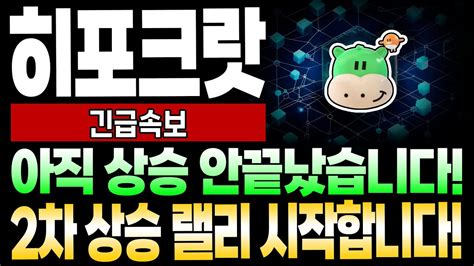 히포크랏 다시 말씀드리지만 아직 상승 안끝났습니다 2차 상승랠리 시작합니다 타이밍 확인하세요 히포크랏 업비트 리플 도지코인 Youtube