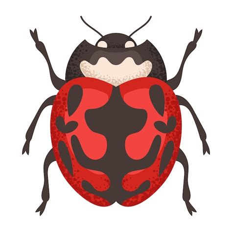 Premium Vector Ladybug