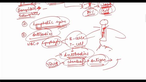 Basic Sciences Pyq Mppsc Mains Gs 3 2020 Part 8 Youtube