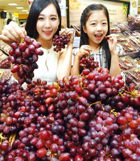 고당도 칠레 포도 맛보세요 한국경제