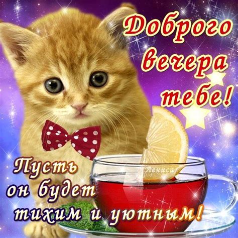 Новые картинки Добрый вечер и Спокойной ночи Поздравления с вечером