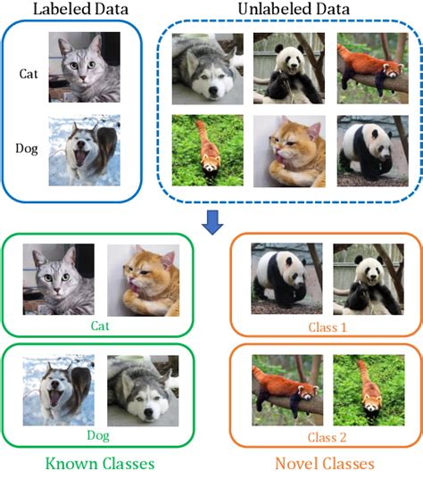open world semi supervised novel class discovery paper and code