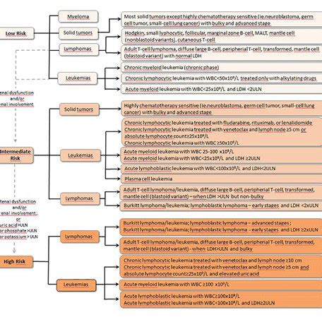 Diagnosis Of TLS In Adults 2 3 TLS Tumor Lysis Syndrome AKI Download Scientific Diagram
