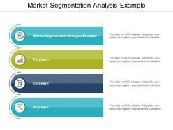 Market Segmentation Analysis Example Ppt Powerpoint Presentation Professional Designs Cpb