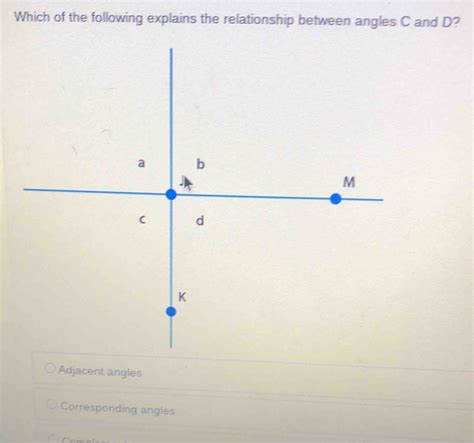 Solved Which Of The Following Explains The Relationship Between Angles C And D Adjacent Angles