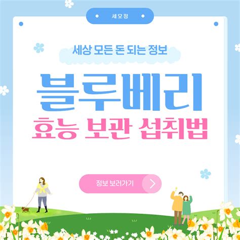 매일 한 줌 당신의 건강을 바꾸는 블루베리 이야기 효능 보관 섭취법