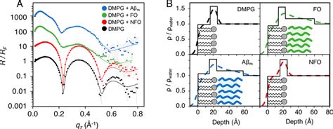 X Ray Reflectivity Measurements Of Aβ Interactions With Dmpg A Xr Download Scientific