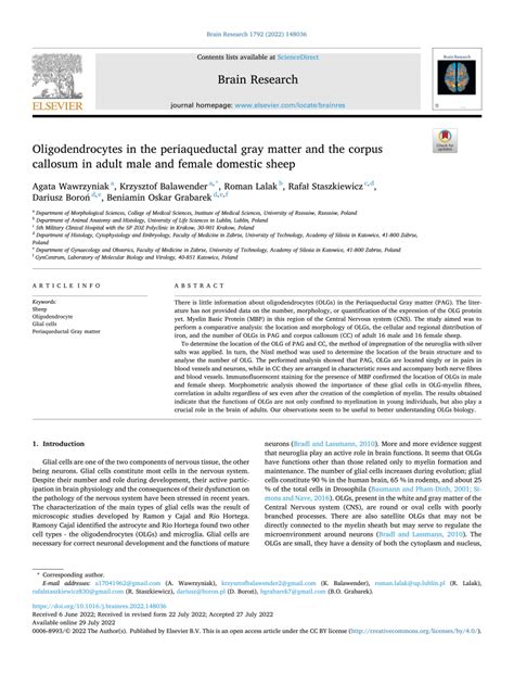 Pdf Oligodendrocytes In The Periaqueductal Gray Matter And The Corpus