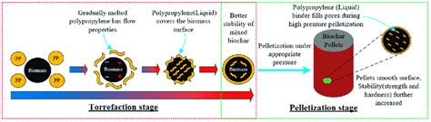 Principle Of Biochar Pelletization Using Pp As A Binder At Different Download Scientific