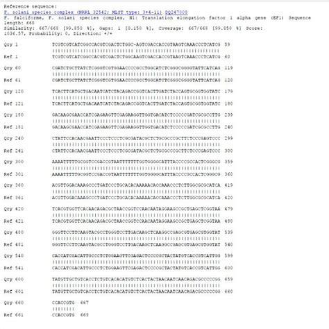 Dna Sequencing Of The Elongation Factor 1 Alpha Ef1 Alpha Gene Dna Sequencing Of The Elongation Factor 1 Alpha Ef1 Alpha Gene