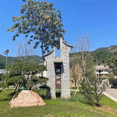 发挥示范引领作用 全面推进乡村振兴穆为民建设发展