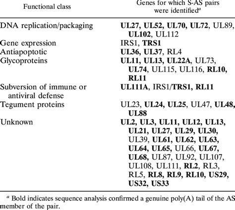 Functional Classes Of Genes With Verified Or Predicted Cis Natural S As Download Table
