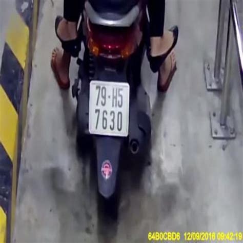 License Plate Recognition Object Detection Model By Licenseplate