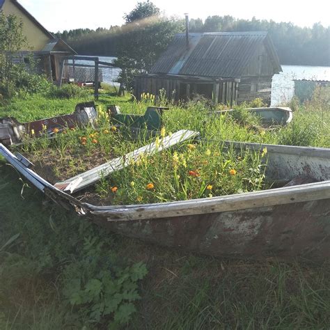 Бани Карелии под ключ с доставкой Дрова на даче правила хранения 👌 Дрова на даче