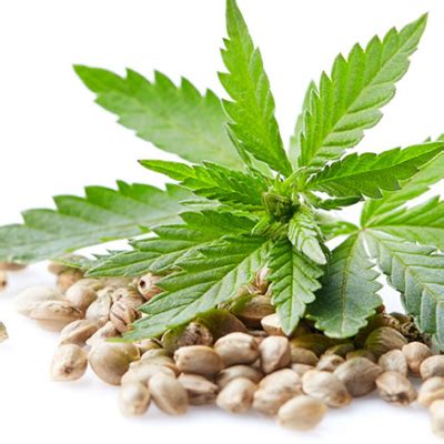 Plant Sex Pathogens US Cannalytics